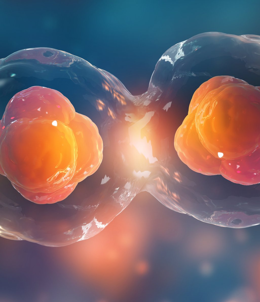 Stem Cell Culture | Axion Biosystems